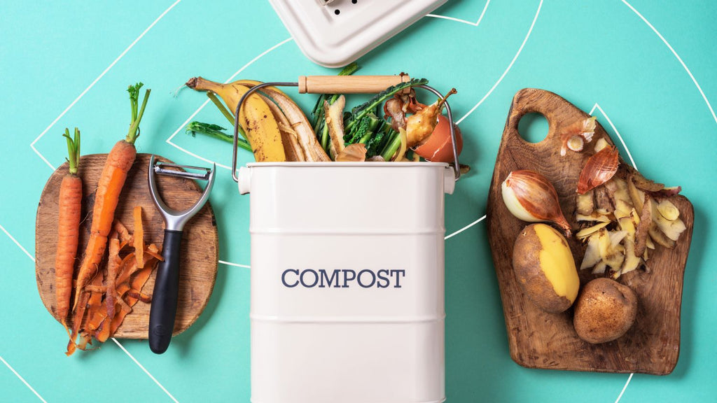 Compare Sepura vs Countertop Compost – Sepura Home