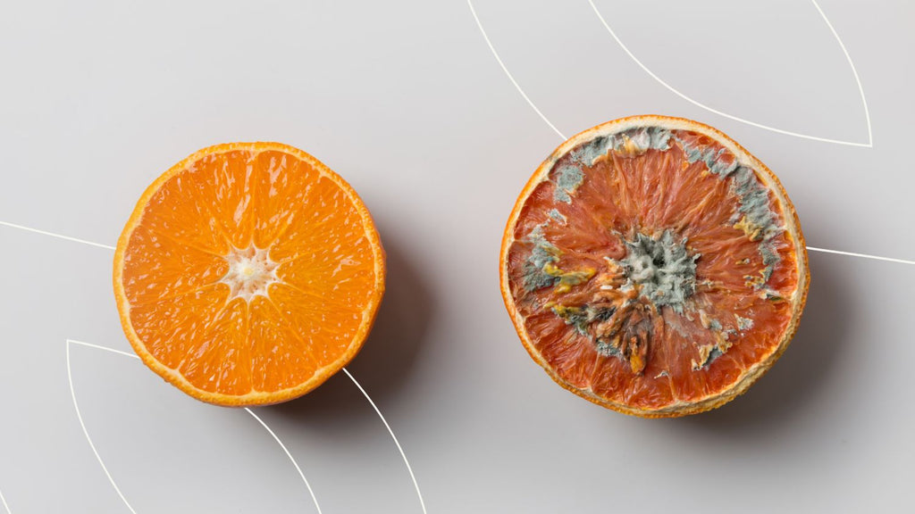 How Long Does Waste In Septic Tanks Take To Decompose? – Sepura Home